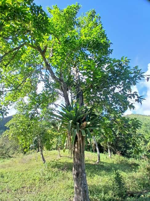 Lethe Mountain Valley Hiking - The Bottom Line