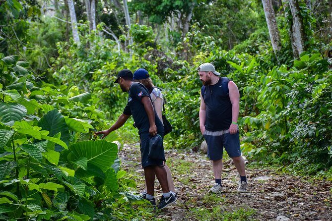 Let's do hiking in Punta Cana - Why This Tour Is a Solid Choice