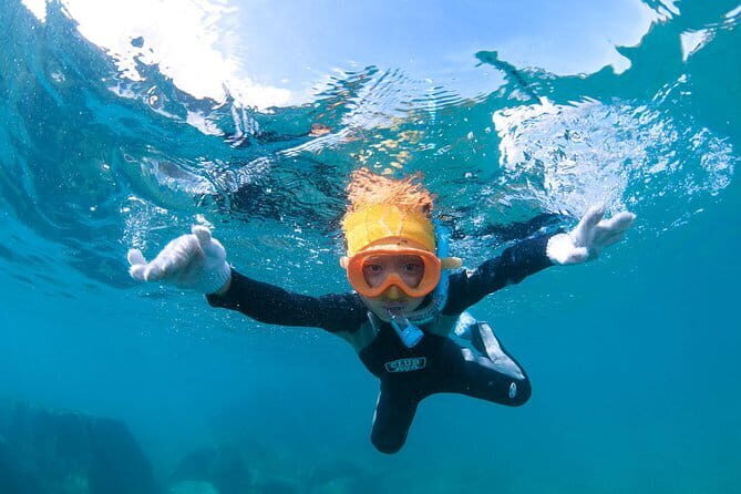 Let's swim with sea turtles in Yakushima!Snorkeling Tour - Final Thoughts: Is It Worth It?