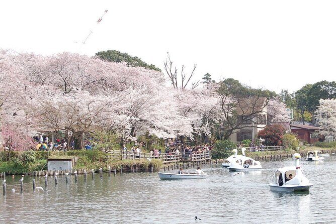 Let's take a walk in the park together!!! - Key Points