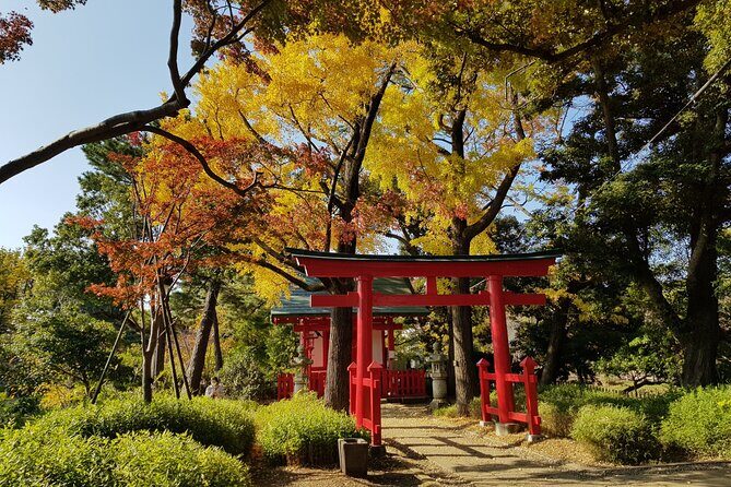 Let's take a walk in the park together!!! - Exploring the Walk in the Park Experience