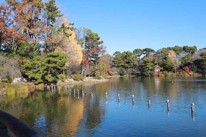 Let's take a walk in the park together!!! - Final Thoughts: Is This Tour Right for You?