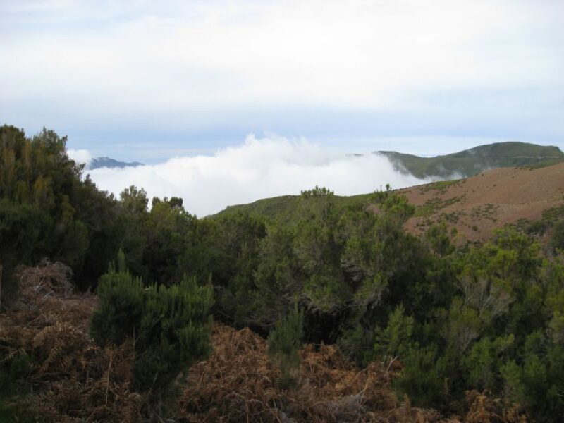 Levada do Alecrim (Madeira Lakes) Full-day walk - Key Points