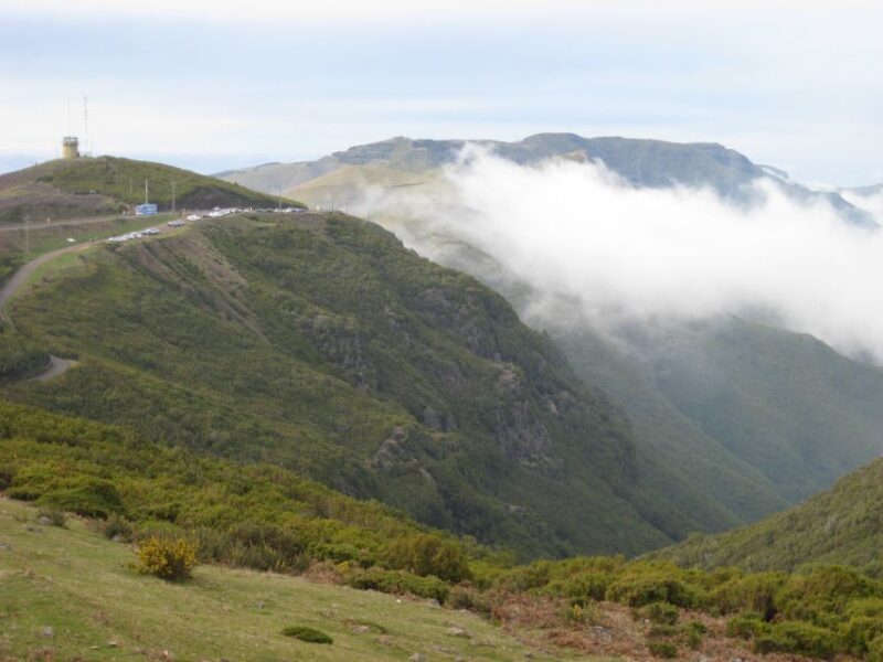 Levada do Alecrim (Madeira Lakes) Full-day walk - An In-Depth Look at the Levada do Alecrim Tour