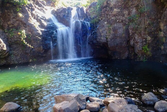 Levada do Alecrim - Rosemary Levada (Full Day Walk) - Who Should Consider This Tour?