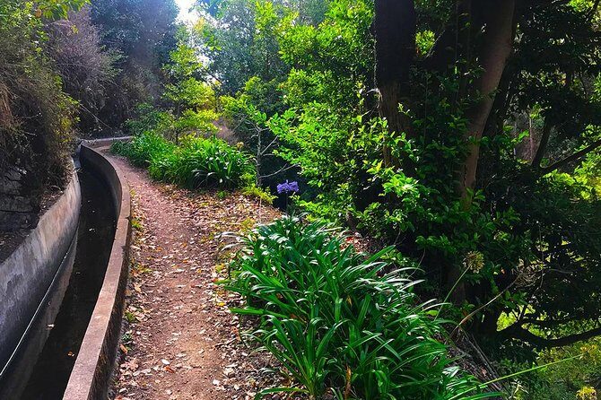 Levada do Norte - Walking Tour - The Verdict: Who Should Sign Up?