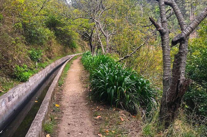 Levada do Norte - Walking Tour - Final Words