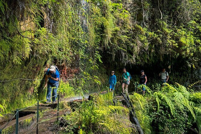 Levada do Rei (PR18) - Through Madeira's Majestic Laurissilva - The Itinerary Breakdown: What You Can Expect
