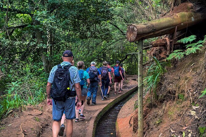 Levada do Rei (PR18) - Through Madeira's Majestic Laurissilva - Practical Tips for Your Levada Experience