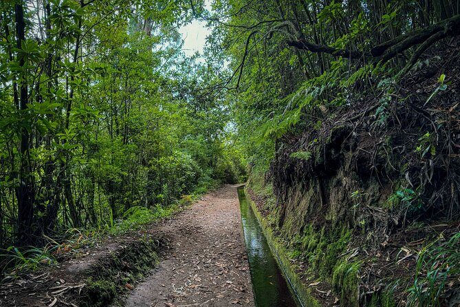 Levada do Rei (PR18) - Through Madeira's Majestic Laurissilva - The Sum Up: Is This Tour Worth It?