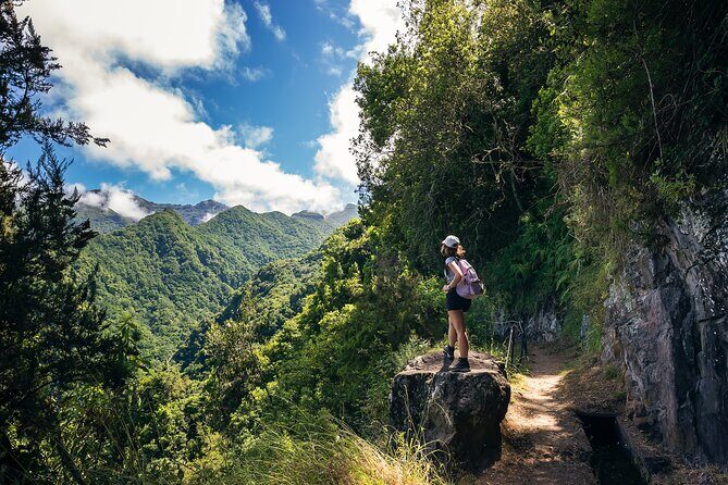 Levada do Rei (PR18) - Through Madeira's Majestic Laurissilva - FAQ