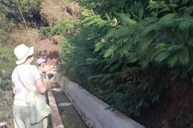 Levada Serra D´Agua - Final Thoughts