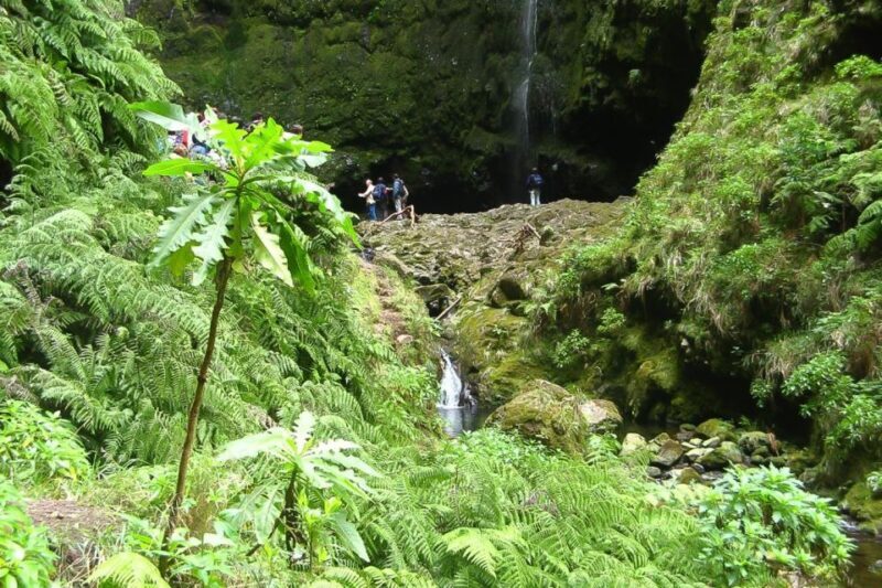 Levada Walk and Caldeirao Verde Waterfalls: Madeira - Introduction