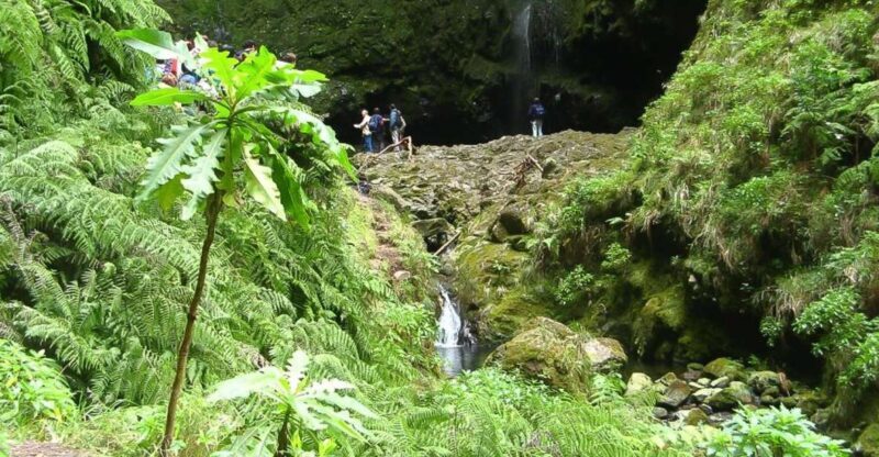 Levada Walk and Caldeirao Verde Waterfalls: Madeira - The Itinerary: What You Can Expect