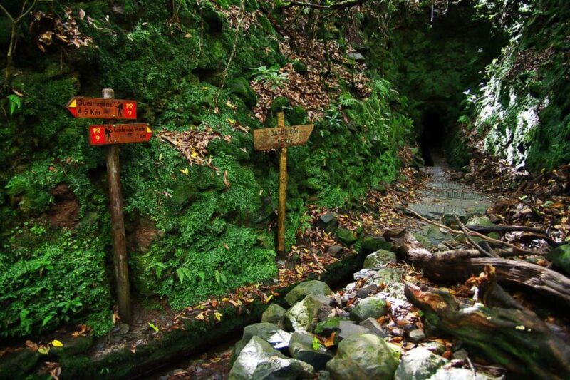 Levada Walk and Caldeirao Verde Waterfalls: Madeira - The Value of the Experience