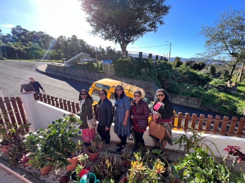 Levada Walk East Santana Full-Day Jeep Tour, Pico do Arieiro - Final Thoughts: Who Will Love This Tour?