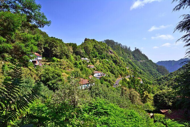 Levada Walk from Ribeiro Frio to Portela - Why This Tour Offers Great Value