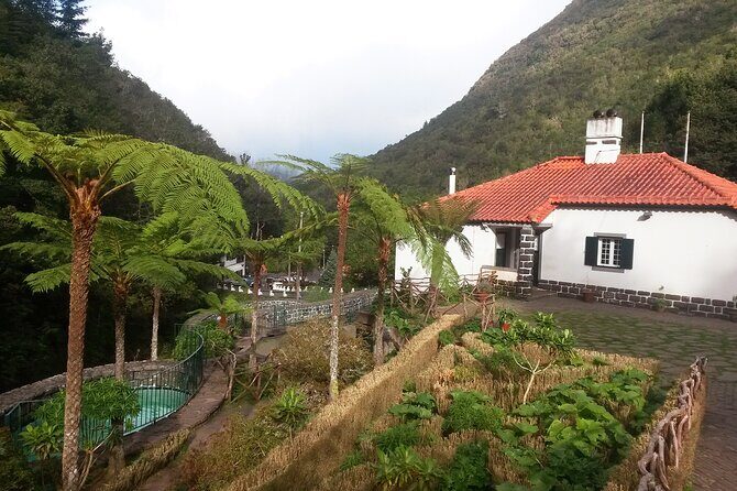 Levada Walk from Ribeiro Frio to Portela - Who Would Love This Tour?