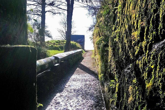 Levada & Waterfalls Hike 25 Fountains, Rabaçal, Risco more Challenging Walk - Who Is This Tour Best Suited For?