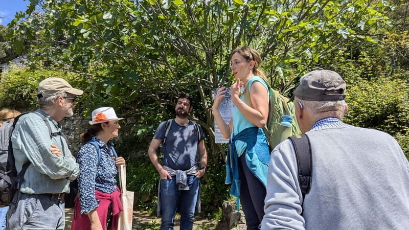Levanto to Bonassola Hiking Tour: Nature & Wonderful Views - Exploring Liguria’s Hidden Coast from Levanto to Bonassola