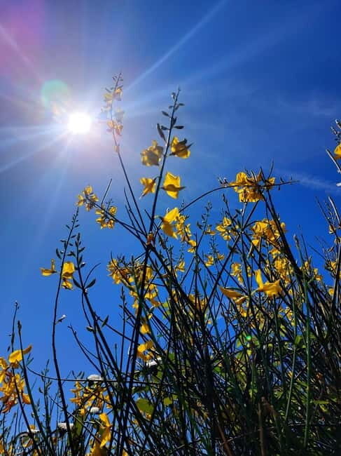 Levanto to Bonassola Hiking Tour: Nature & Wonderful Views - What the Tour Offers in Value