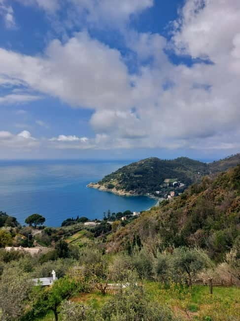 Levanto to Bonassola Hiking Tour: Nature & Wonderful Views - Accessibility and Booking