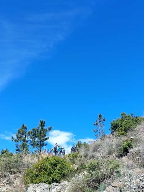 Levanto to Bonassola Hiking Tour: Nature & Wonderful Views - The Sum Up