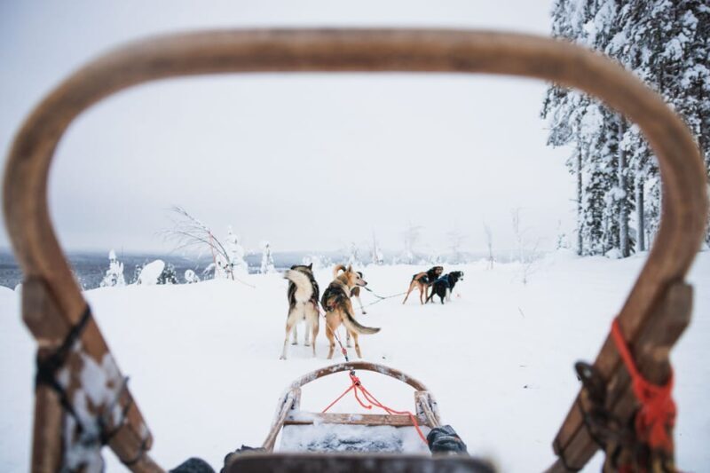 Levi: 15-Kilometres Self-Driving Husky Tour - Detailed Breakdown of the Itinerary