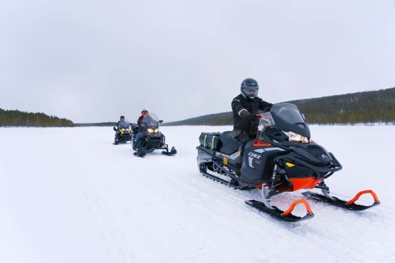 Levi: 2-Hour Snowmobile Safari Led by Local Guides - Overview of the Levi Snowmobile Safari