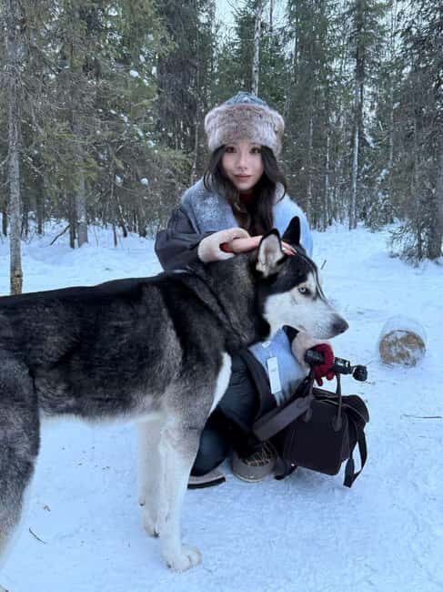 Levi: 2 km Thrilling Husky Sled Ride - Safety and Preparation