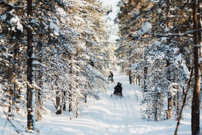 Levi: 3 Hour Snowmobile Safari Around Levi with Coffee Break - Key Points