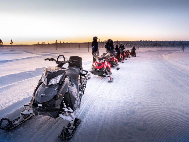 Levi: 3 Hour Snowmobile Safari Around Levi with Coffee Break - The Snowmobiling Experience: What You’ll Feel