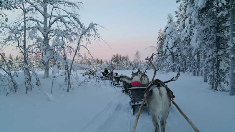 Levi: 3km Reindeer Sleigh Ride in the forest at night - Key Points