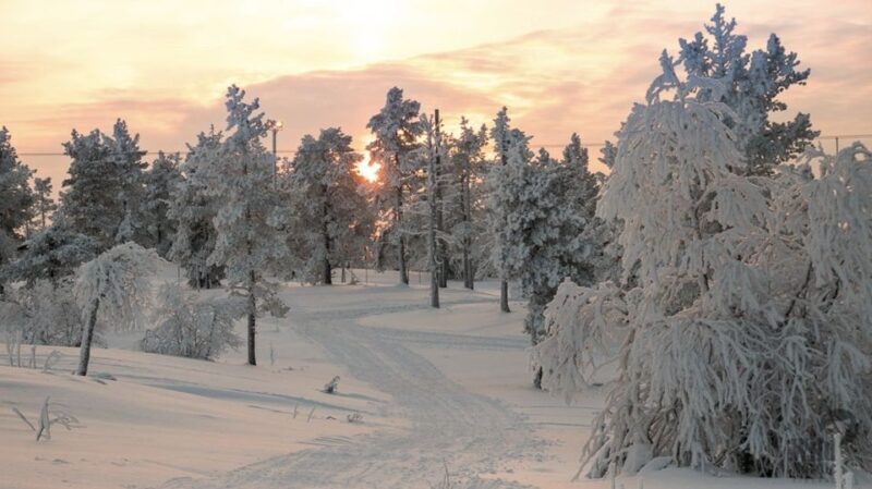 Levi: 4 Hour Snowmobile Safari to the Fells in Levi - Key Points