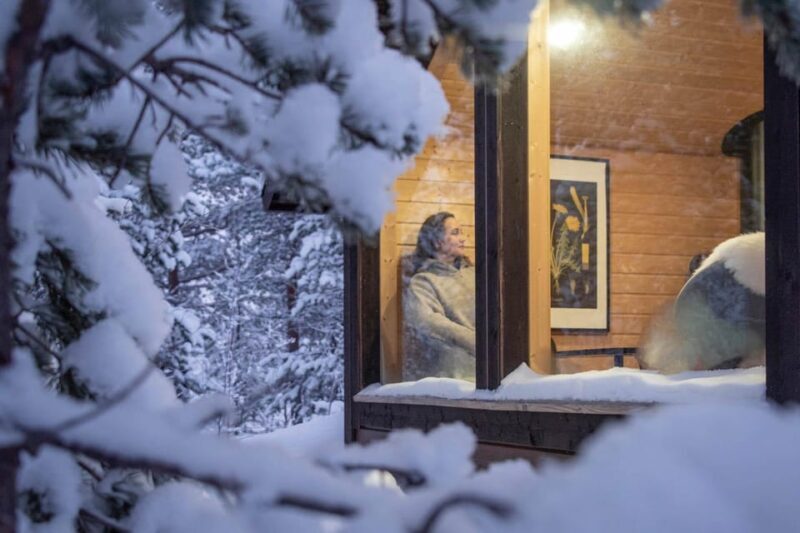 Levi: Aurora Wilderness Escape - Practical Tips for Visitors