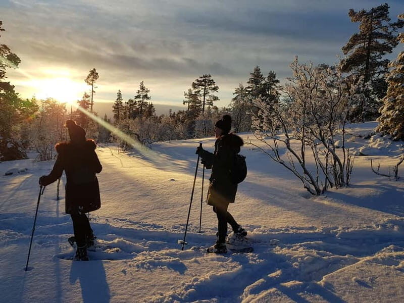 Levi: Easy Snowshoeing - An In-Depth Look at Levis Easy Snowshoeing