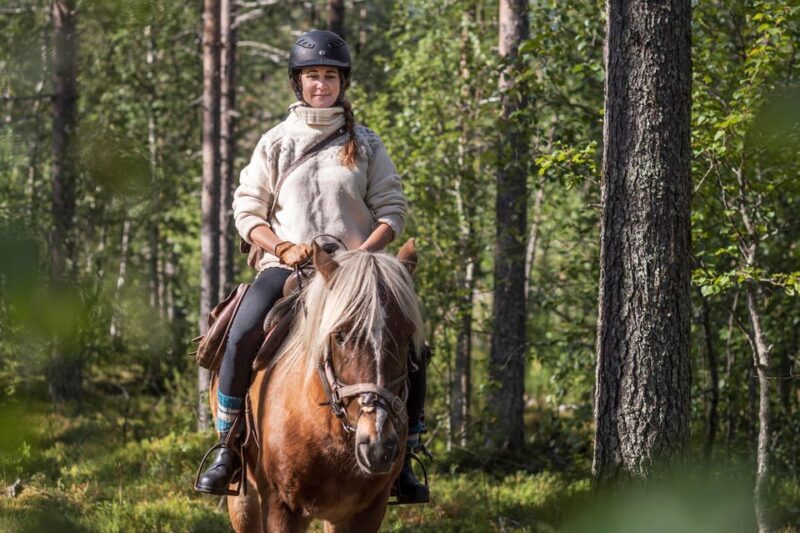 Levi: Evening Horseback Ride with Northern Lights - An In-Depth Look at the Experience