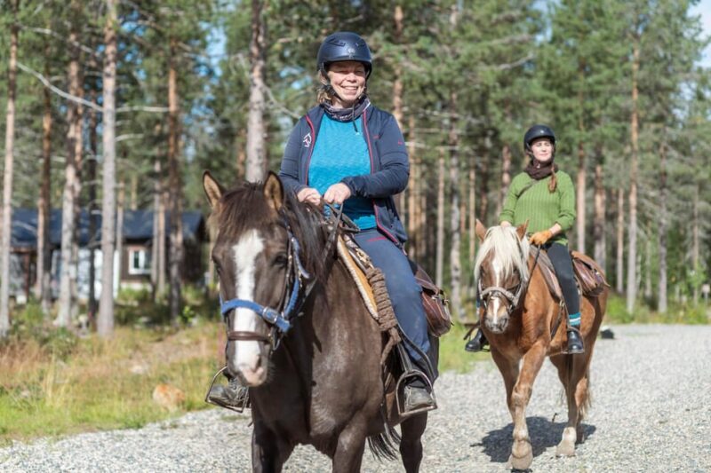 Levi: Evening Horseback Ride with Northern Lights - Value and Practicalities