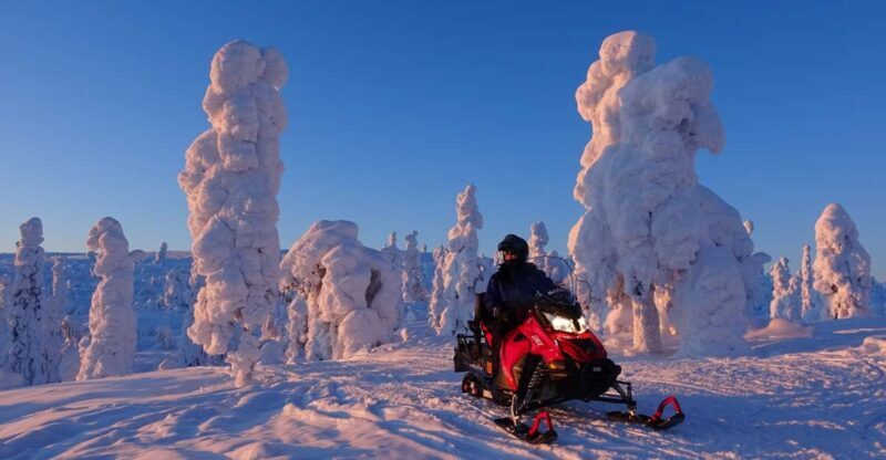 Levi: Evening Snowmobile Safari - Who Is This Tour Best For?