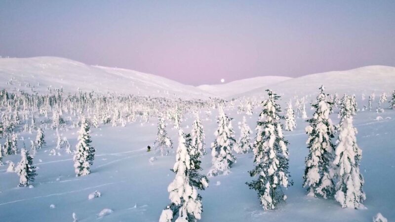 Levi: Explore the Wilderness - An In-Depth Look at the Levi Wilderness Tour