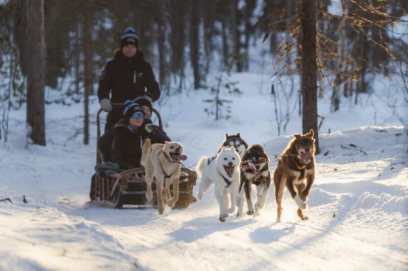 Levi: Follow the Elves  One day husky safari - Key Points