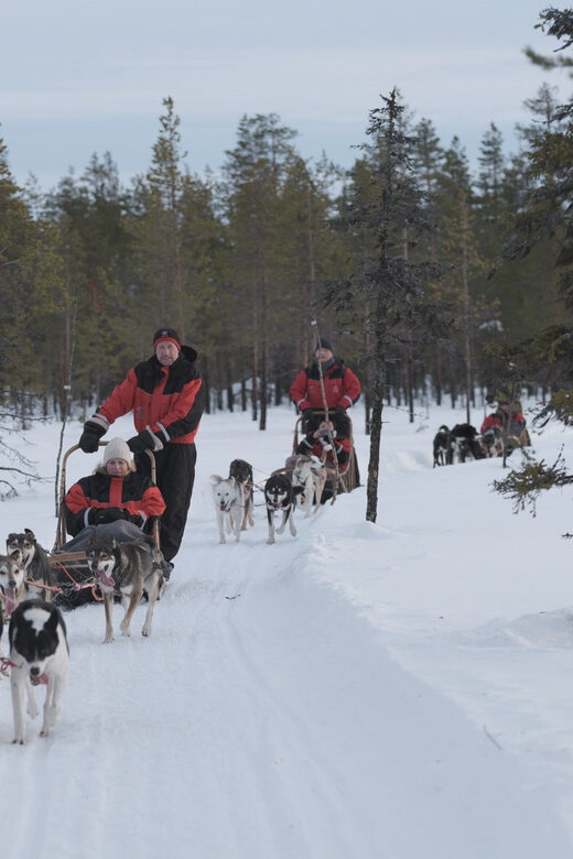 Levi: Follow the Elves  One day husky safari - What’s the Price and Is It Worth It?