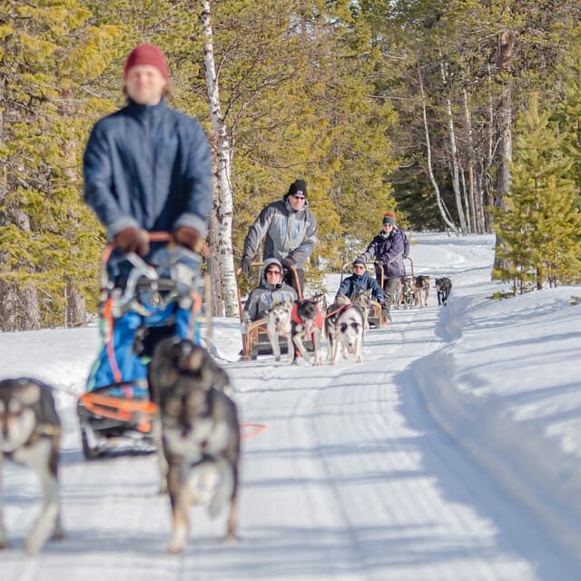 Levi: Follow the Elves  One day husky safari - Final Thoughts: Is This Tour Right for You?