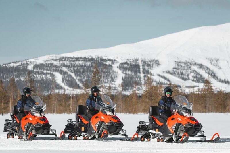 Levi: Forest Snowmobile Safari - Who Will Appreciate This Experience?