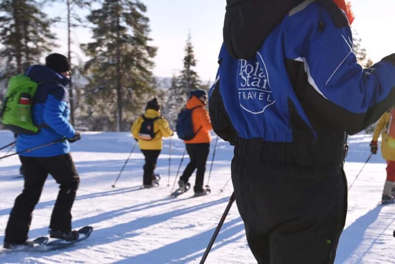Levi: Gentle Snowshoe Walk in Winter Wilderness - What to Expect from the Snowshoeing Tour
