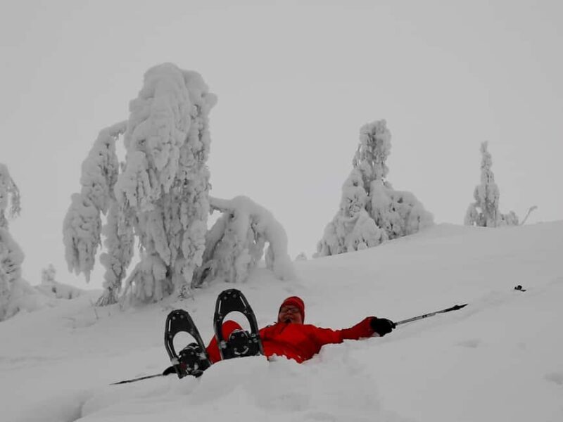 Levi: Gentle Snowshoe Walk in Winter Wilderness - In-Depth Tour Breakdown