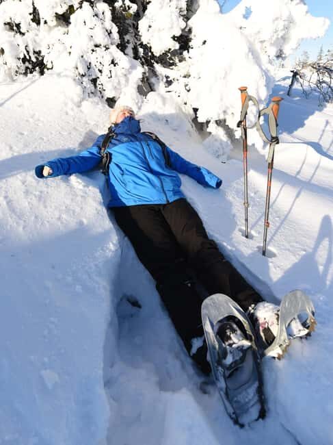 Levi: Gentle Snowshoe Walk in Winter Wilderness - Who Should Consider This Tour?