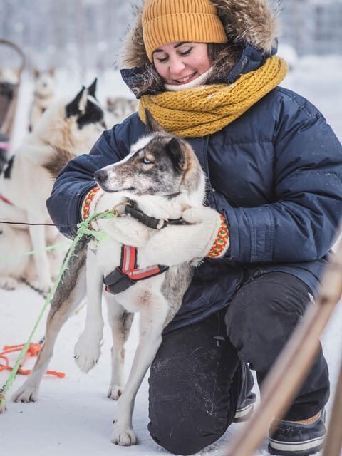 Levi: Guide-driven Husky Safari - Key Points