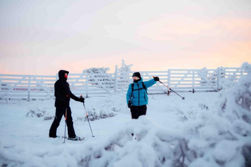 Levi: Guided Snowshoeing Adventure - Key Points