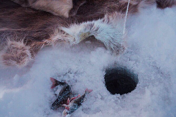 Levi Ice Fishing Experience in the Wild with Campfire Treats - Final Thoughts: Is This Tour Right for You?
